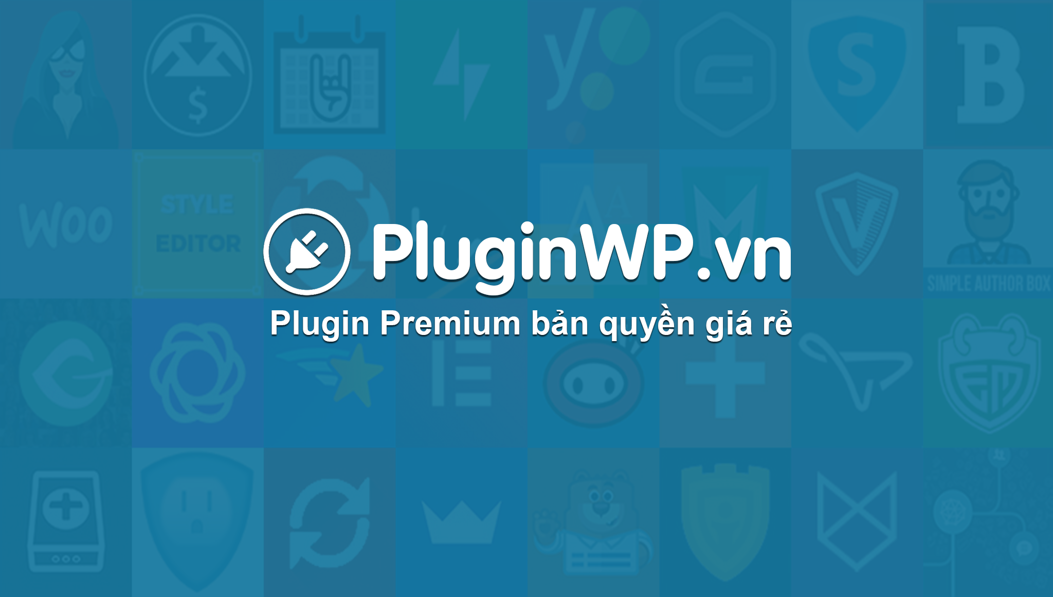Plugin WordPress Pro, Premium giá rẻ, chính hãng từ nhà sản xuất ...
